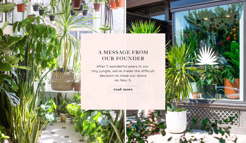 Little Leaf Shop
